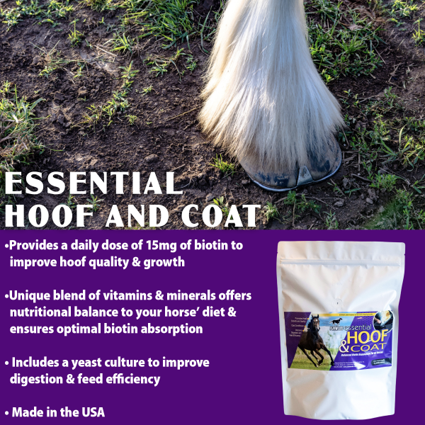 Essential Hoof and Coat - Pennwoods