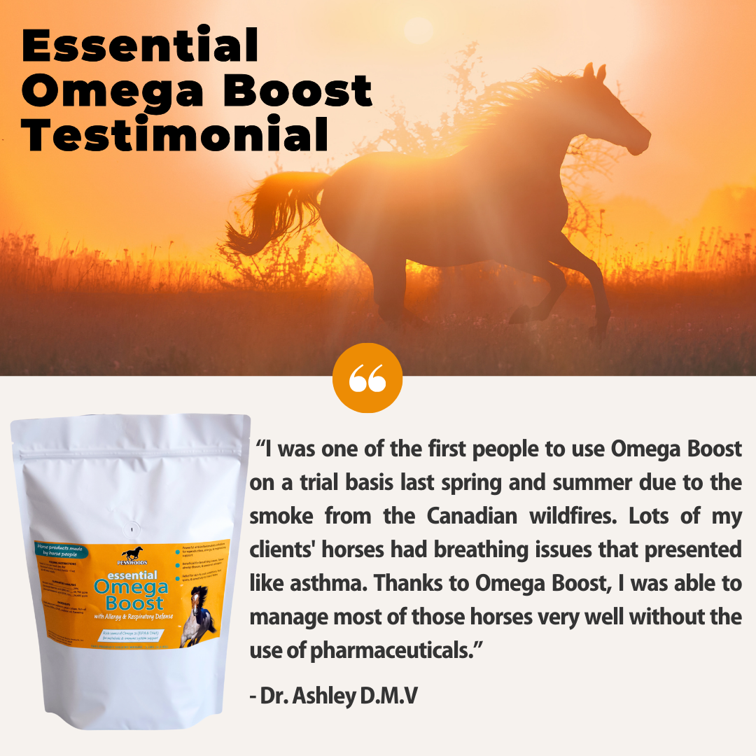Essential Omega Boost - Pennwoods